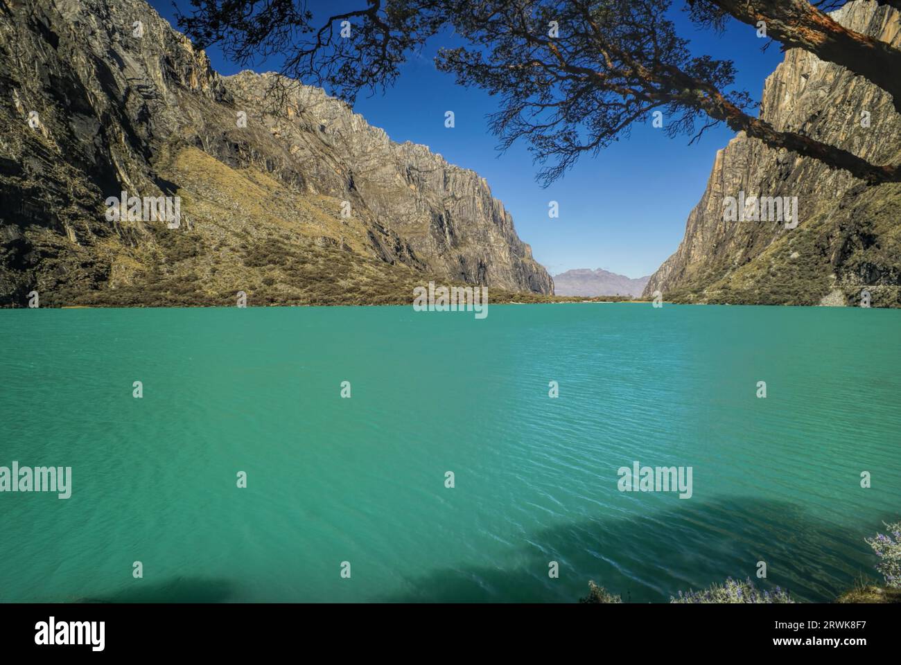 Turquoise lagoon in Huascaran national park in Peru Stock Photo - Alamy