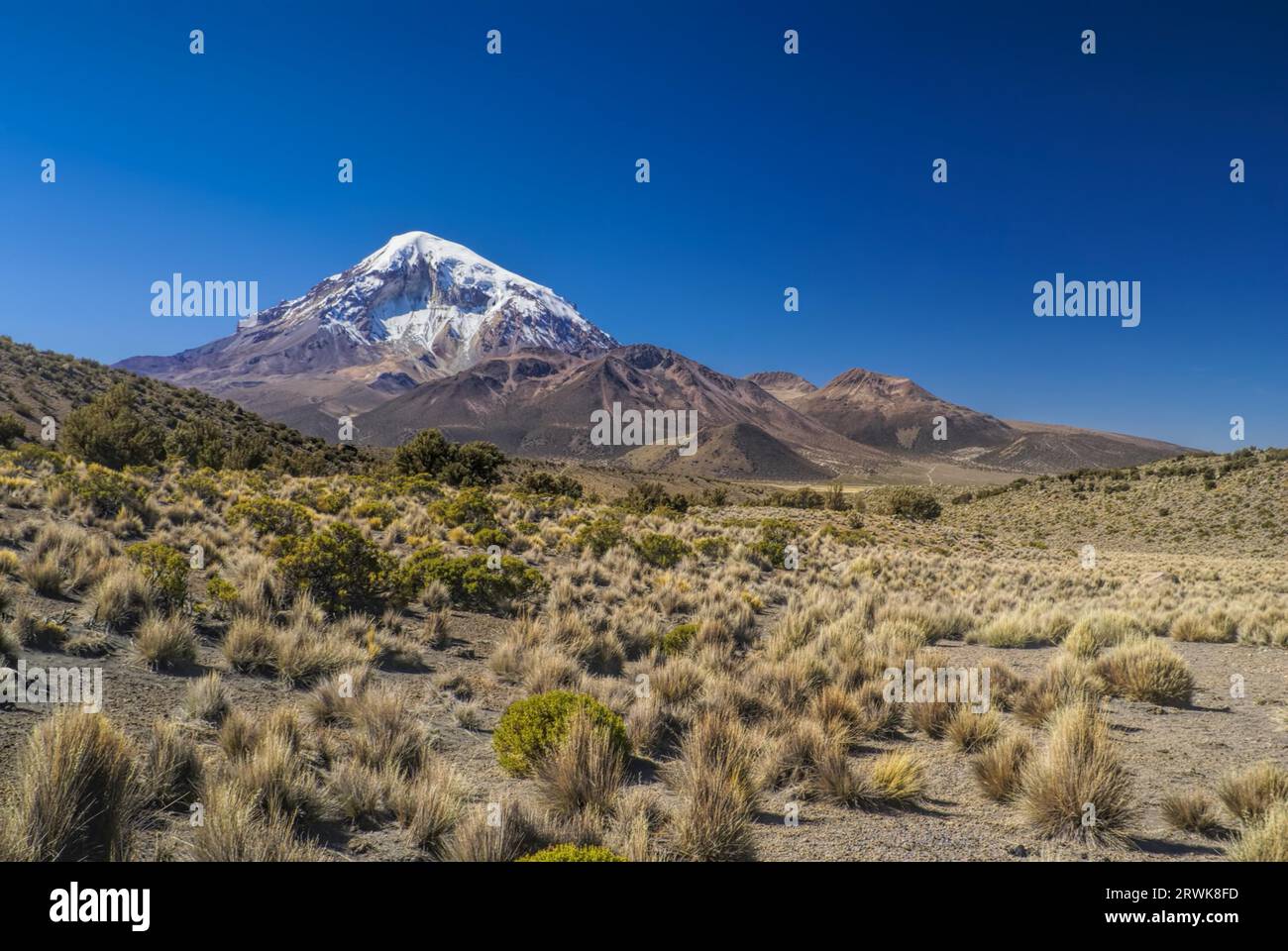 Scenic Nevado Sajama volcano, highest peak in Bolivia in Sajama ...