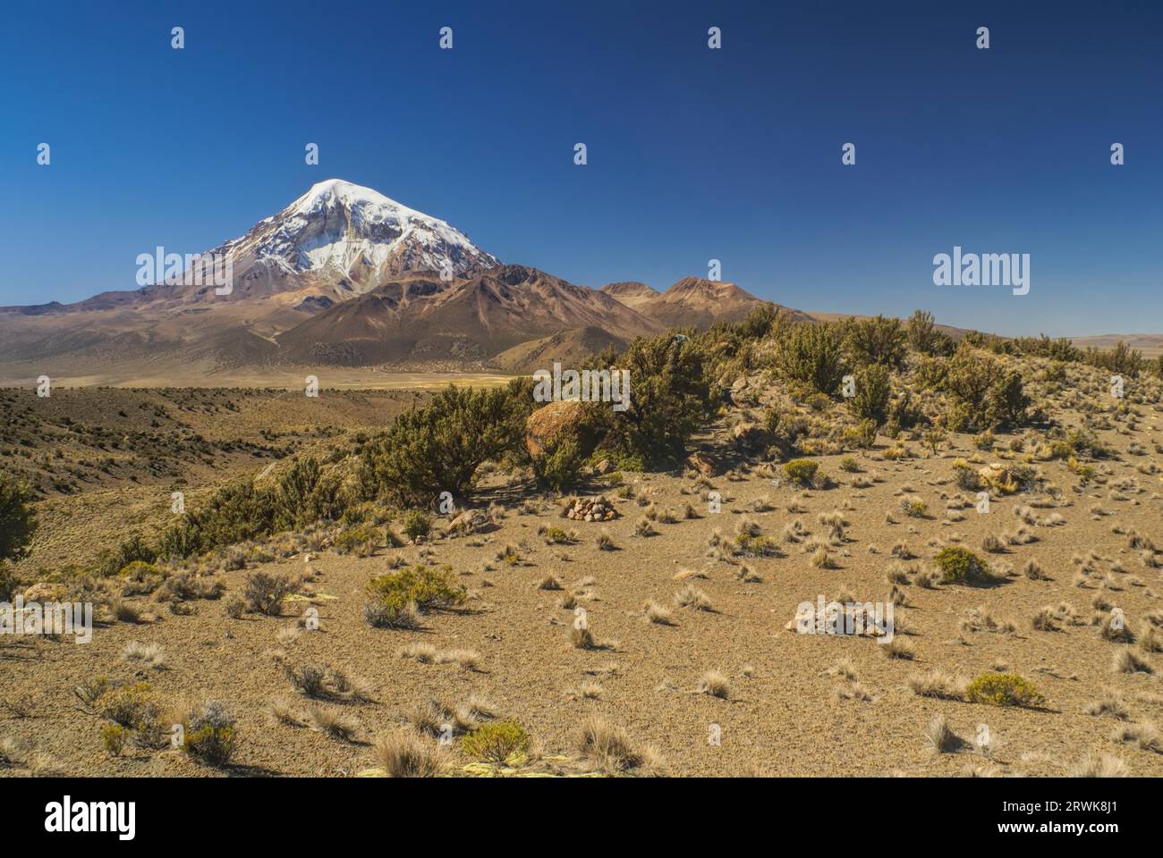 Picturesque landscape around Nevado Sajama volcano, highest peak in ...