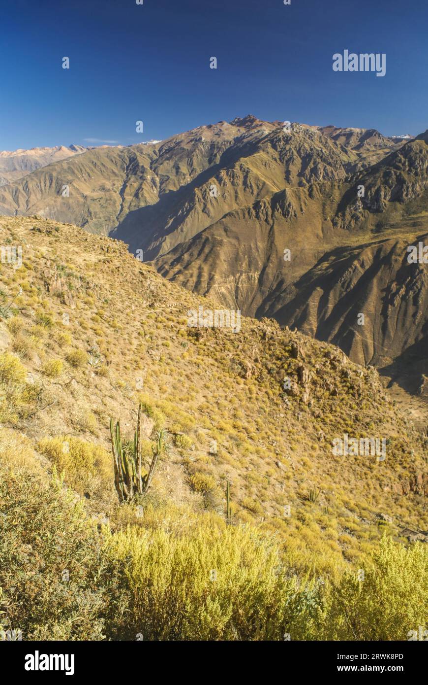 Scenic view of Canon del Colca, famous tourist destination in Peru ...