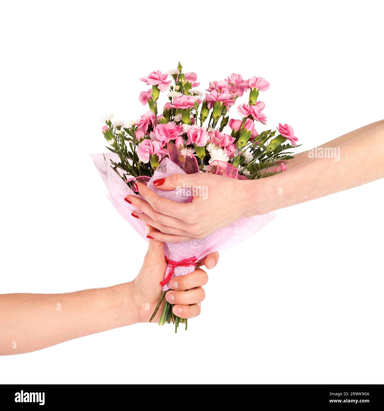 Female hands taking a bouquet of carnation flowers from male hand ...