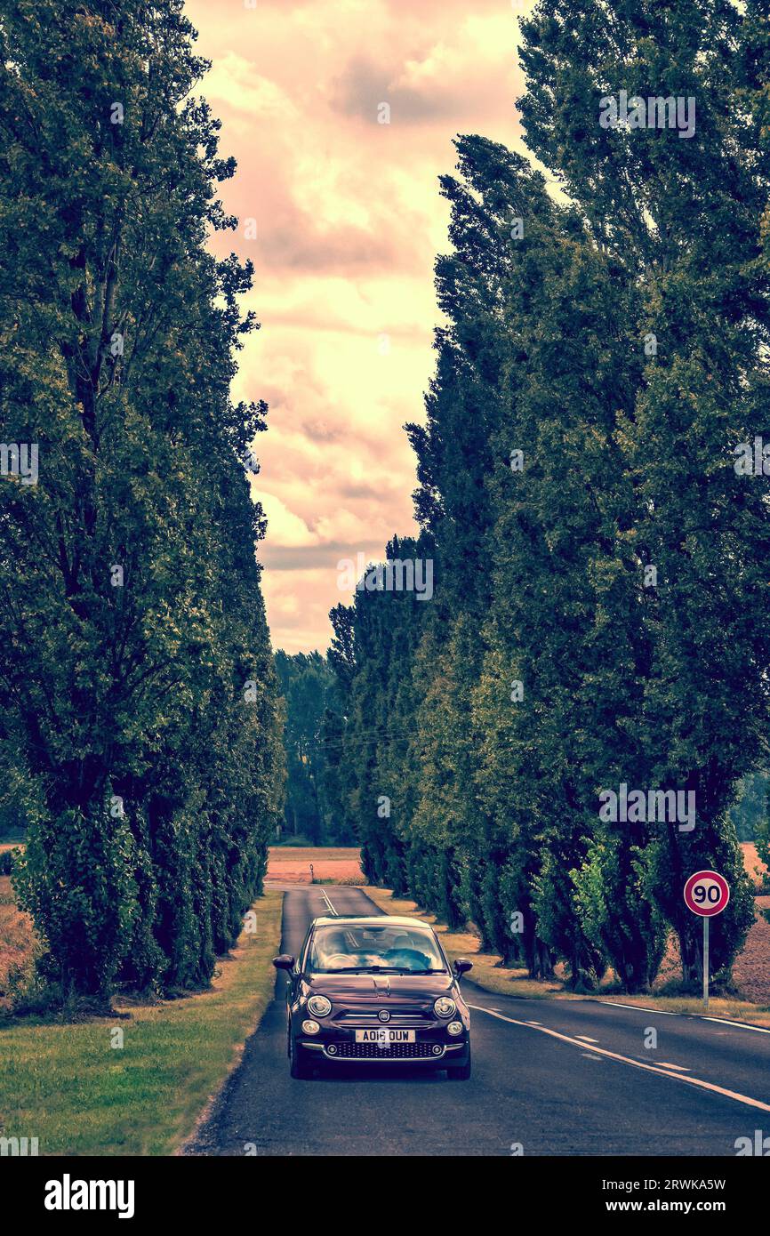 Fiat 500 on an old tree lined Route national road in North Eastern ...