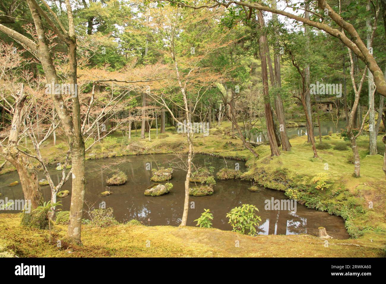 Moss temple hi-res stock photography and images - Alamy