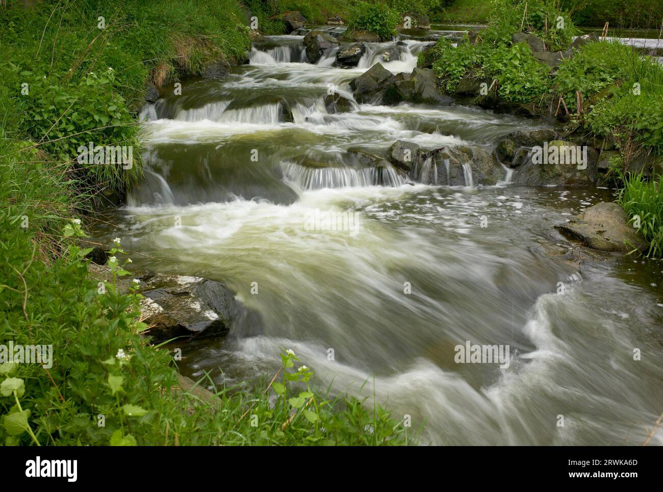 Waterfall next to the weir to facilitate the migration of fish Stock ...