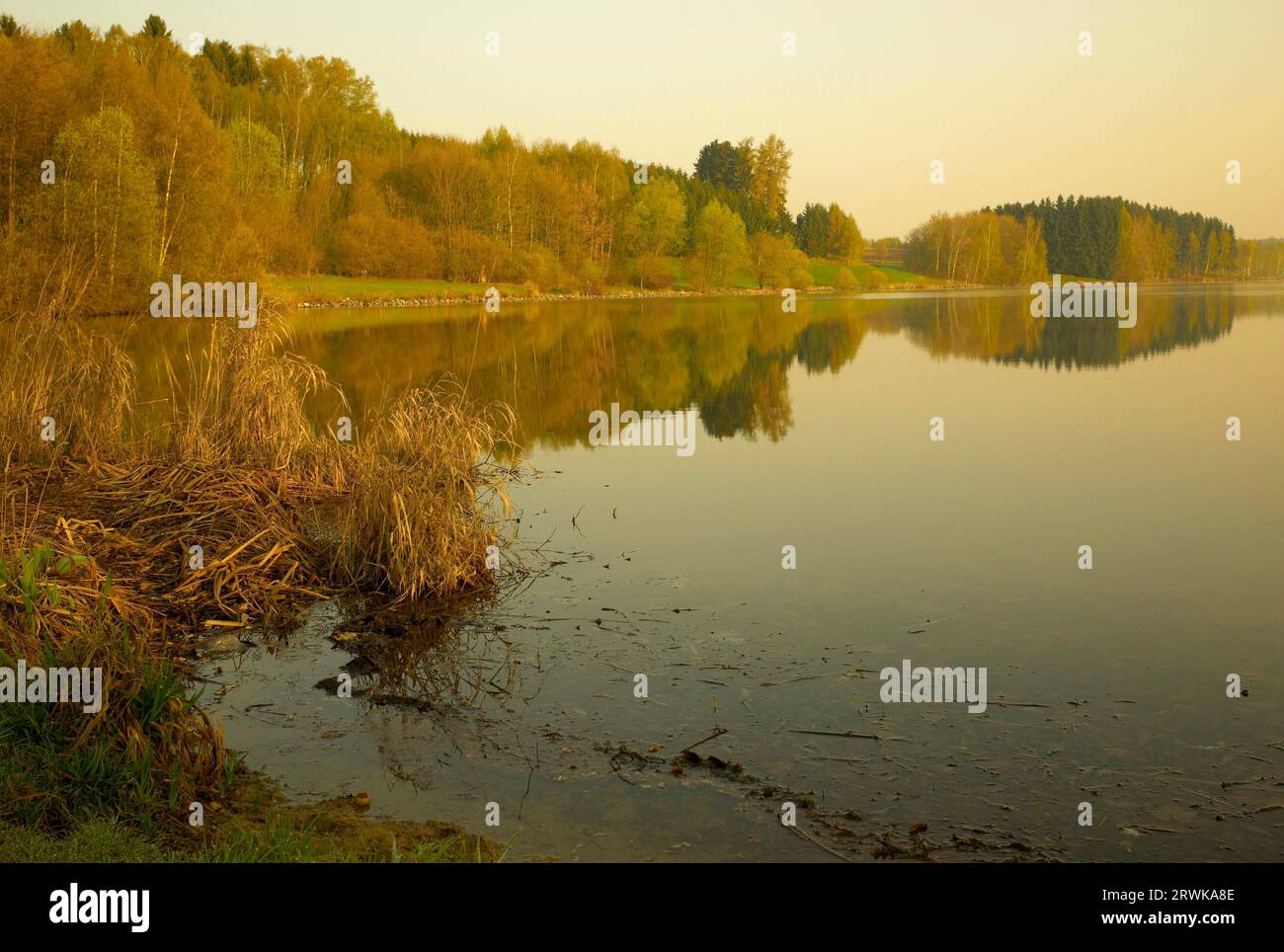 Untreusee in Hof Stock Photo - Alamy