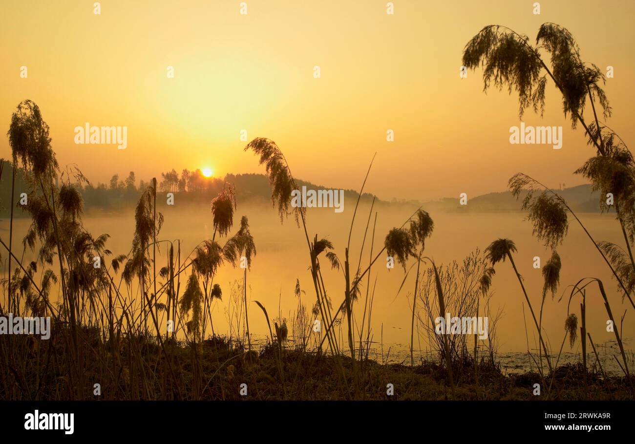 Untreusee in Hof Stock Photo - Alamy