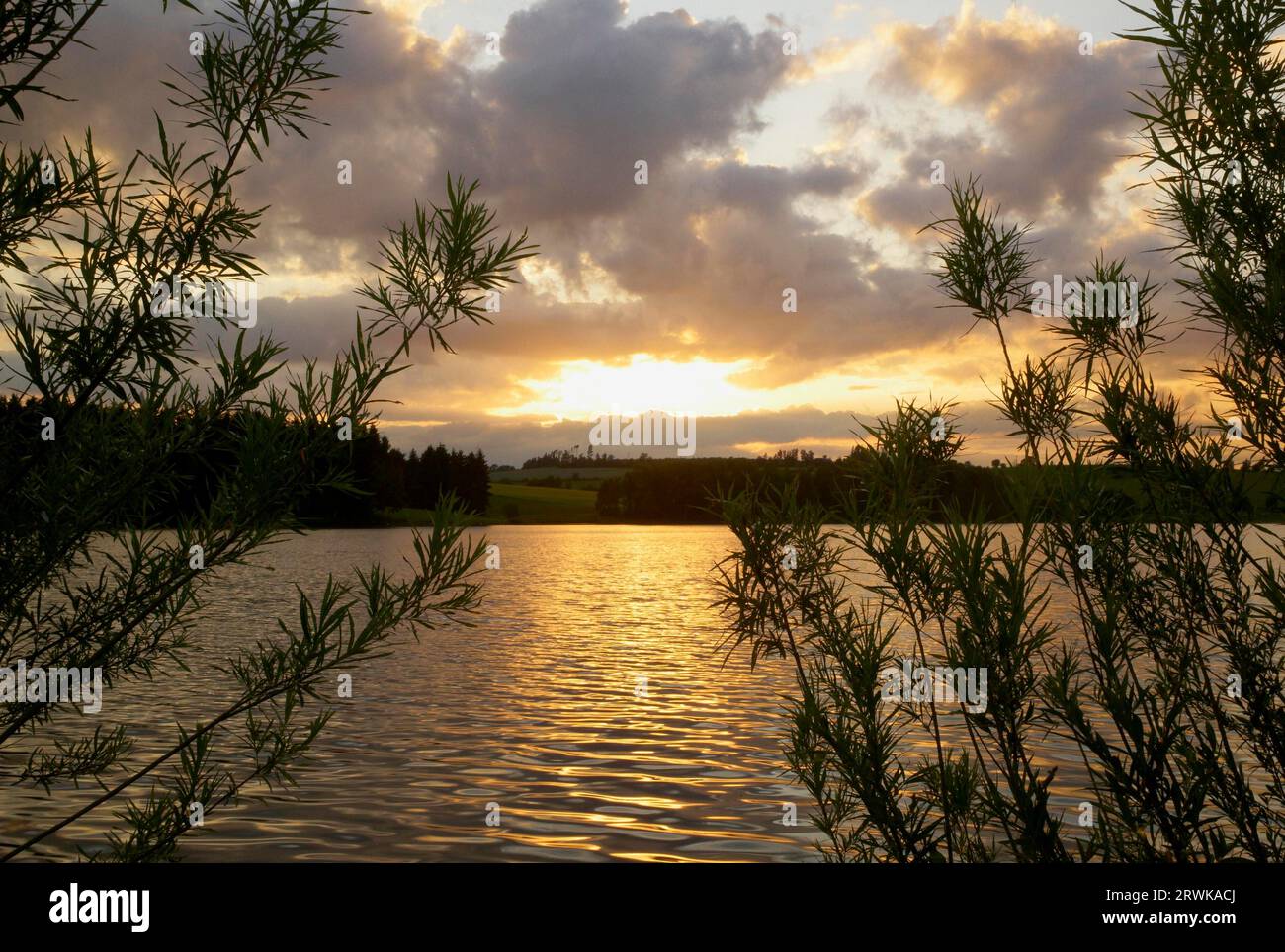 The Untreusee lake in Hof is a popular recreational area Stock Photo ...
