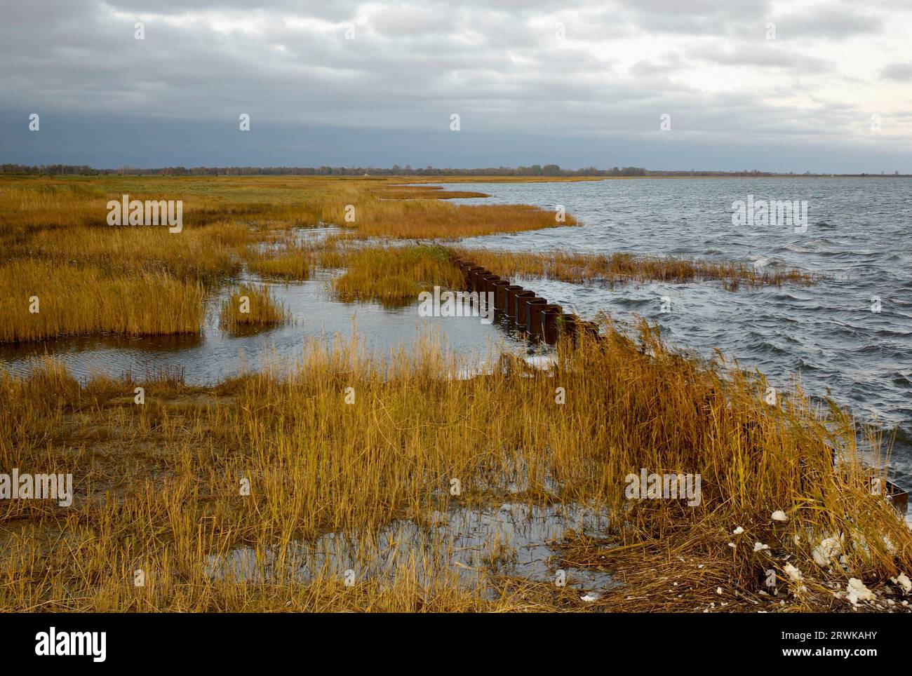 Wiek lagoon hi-res stock photography and images - Alamy