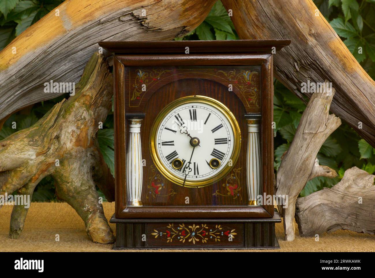 Growing clock hi-res stock photography and images - Alamy