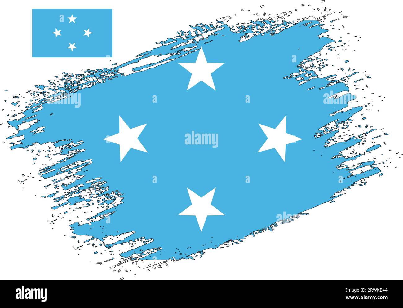 Brush Design Federated States Micronesia Flag Vector Stock Vector Image ...