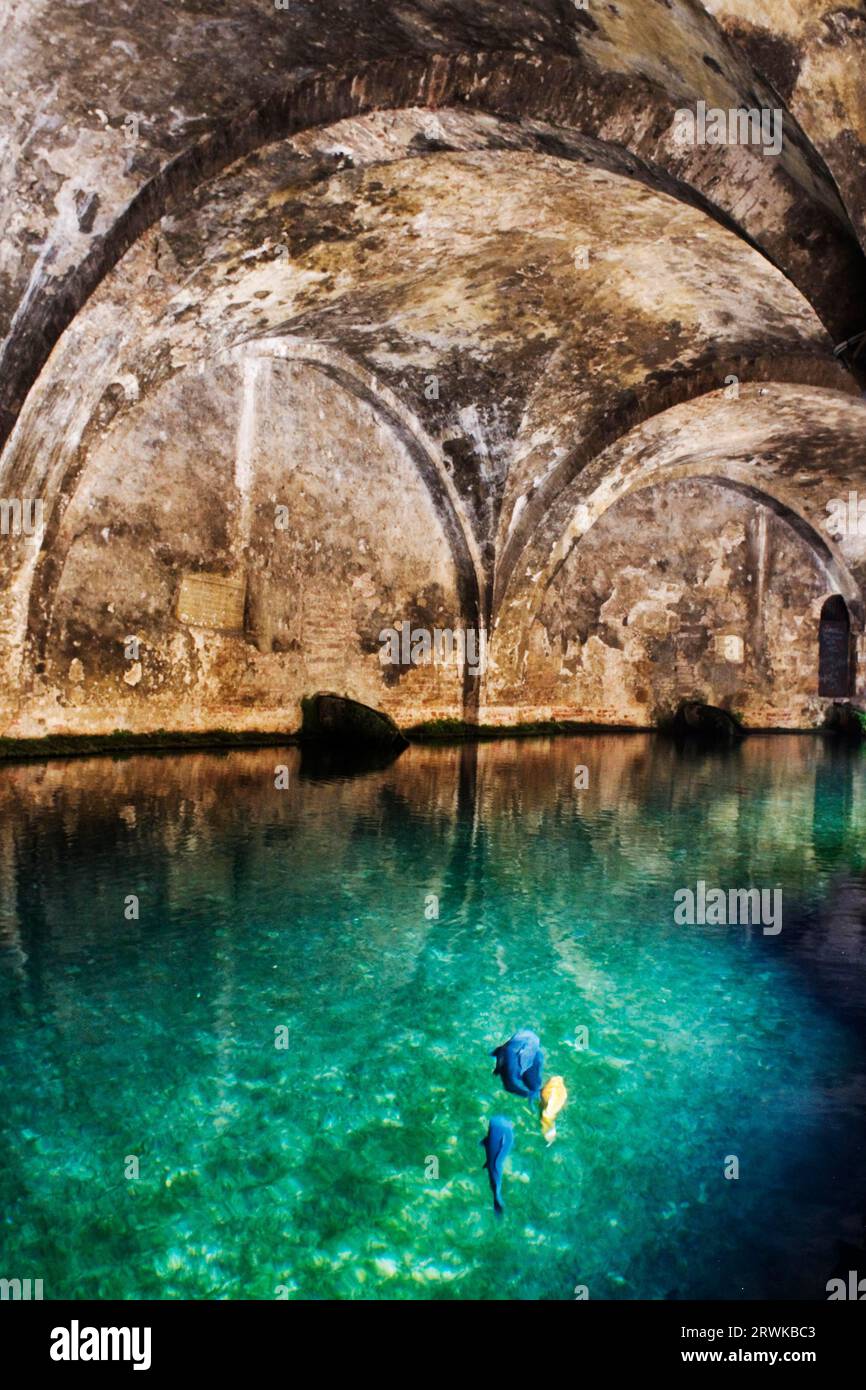 The captured spring Stock Photo - Alamy