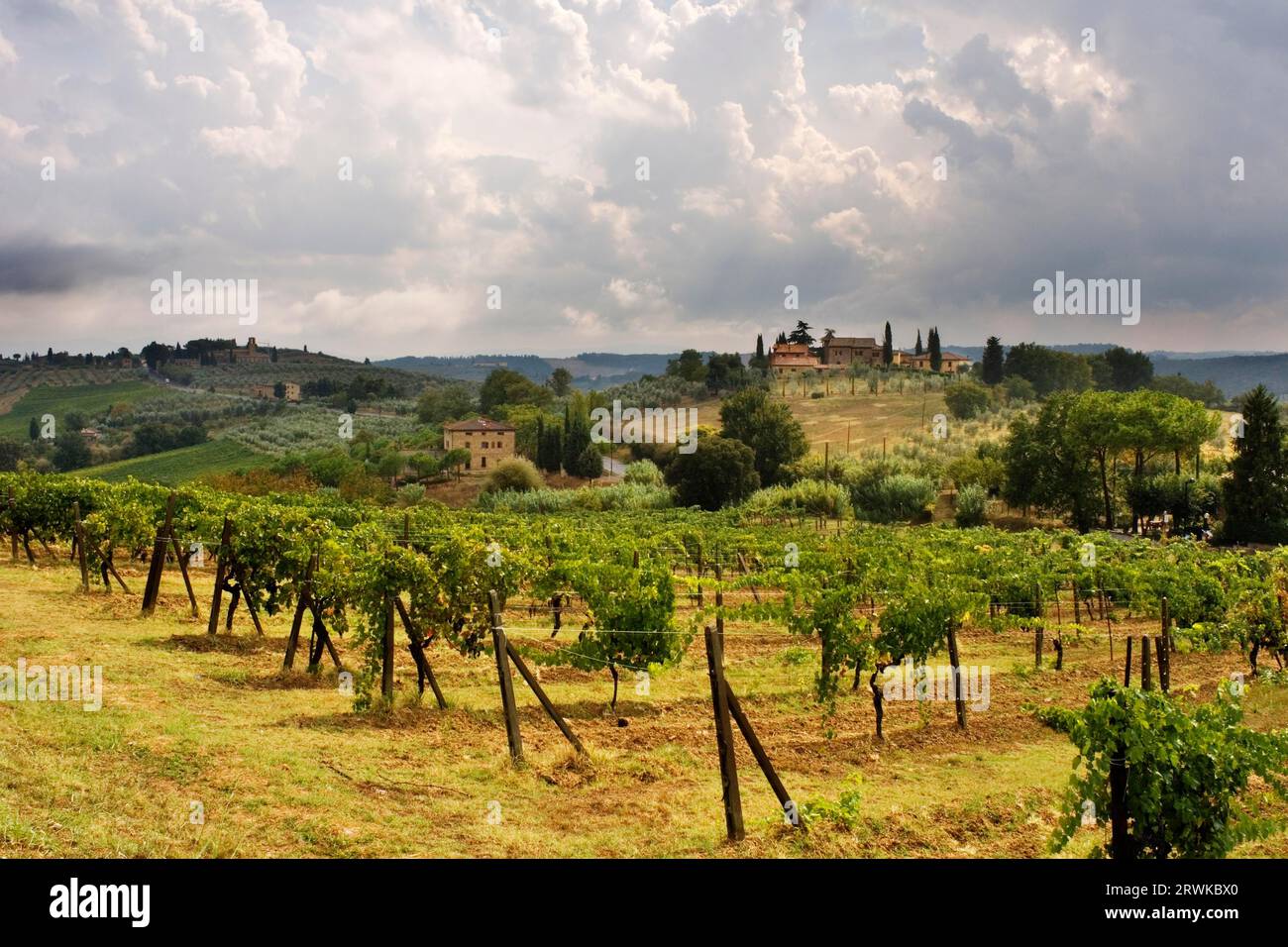Tuscan countryside near San Gimignano Stock Photo - Alamy