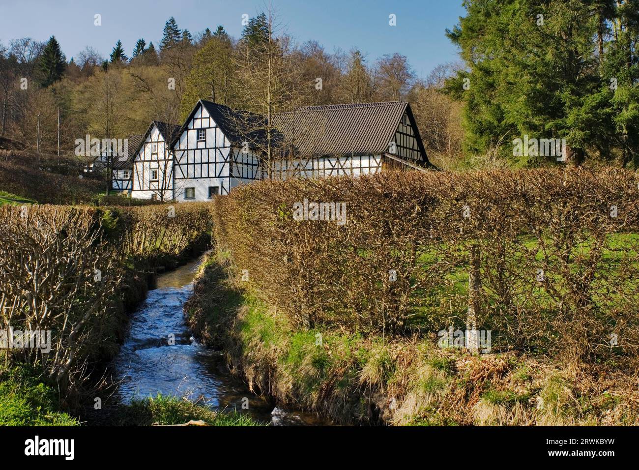 Wildenburg rhineland hi-res stock photography and images - Alamy