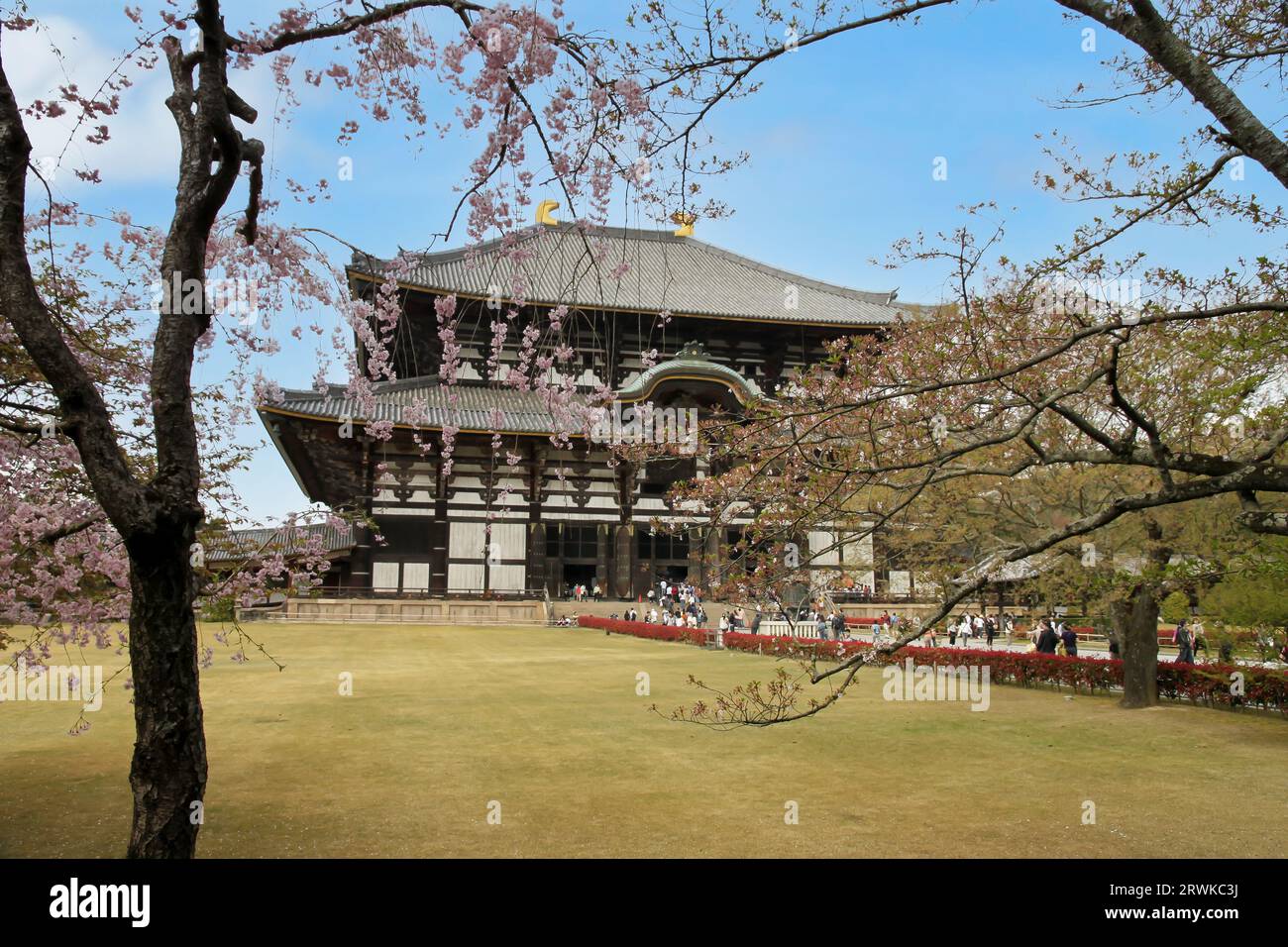 Nara todaji temple hi-res stock photography and images - Alamy