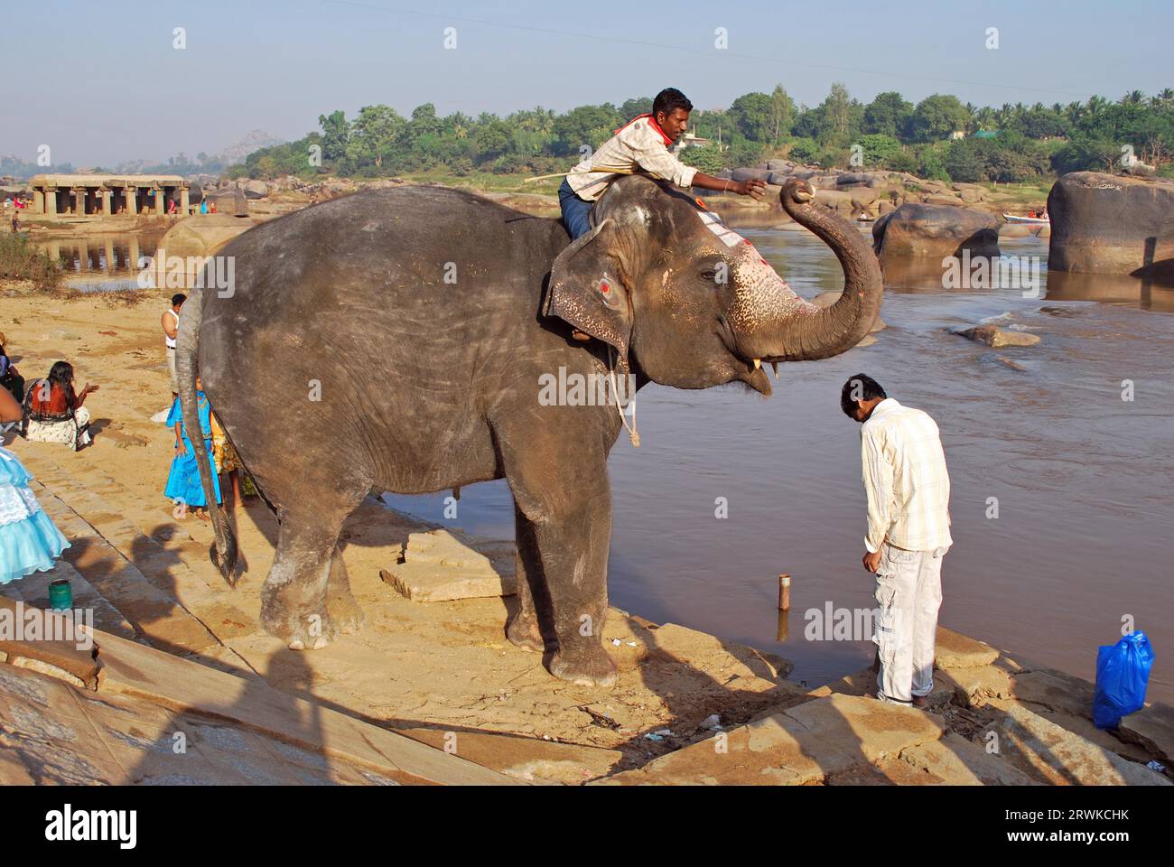 Elephant blessing Indians at the Tugabhadra River in Hampi, South India ...