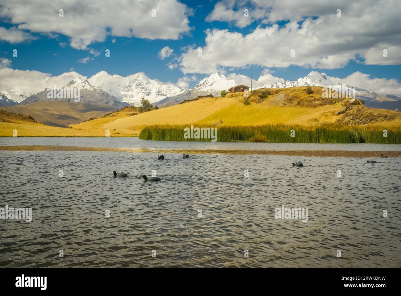 Photo of lake with ducks with large mountain range Cordillera Negra in ...