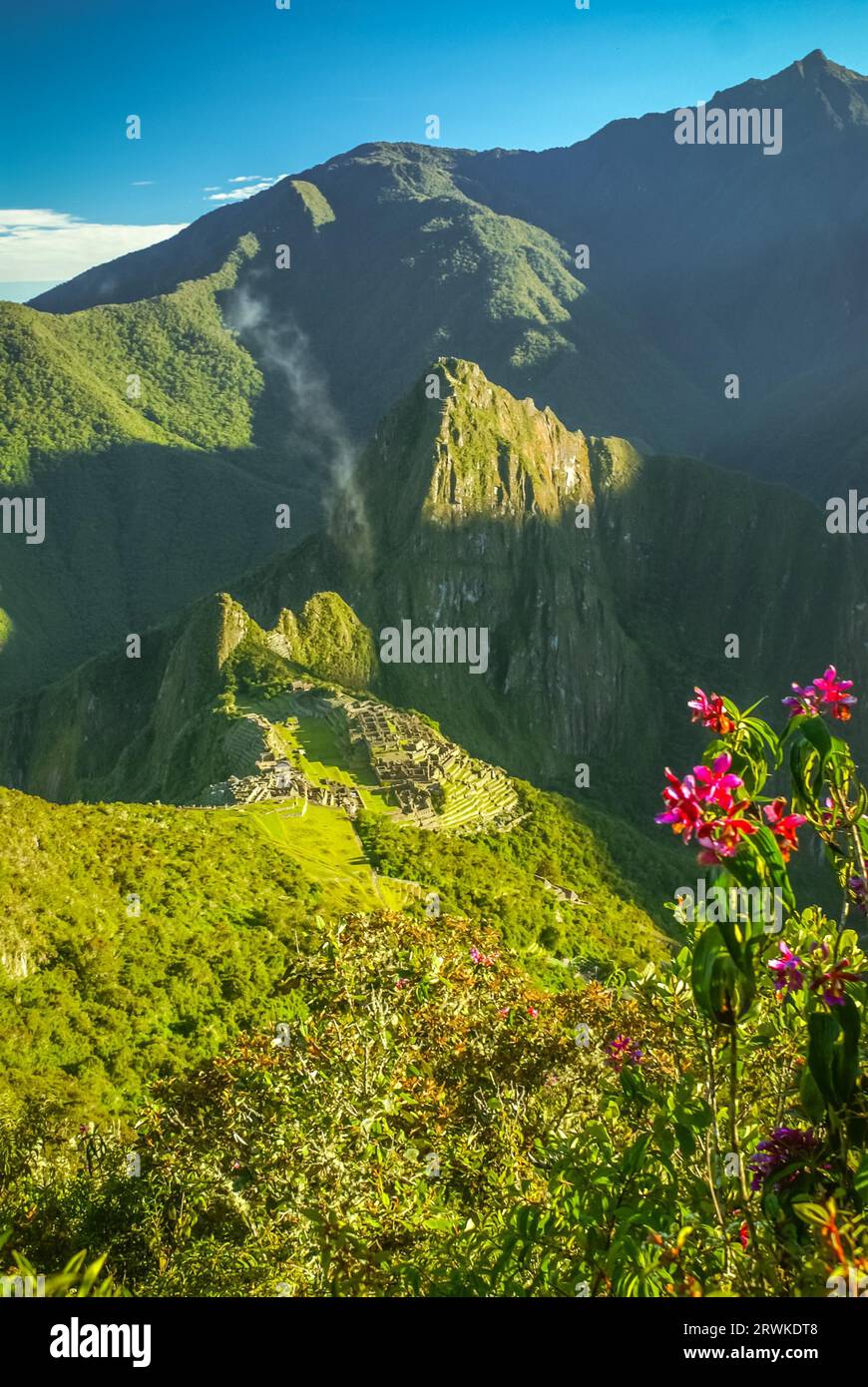 Jungle and high mountains of greenery with smoke in distance in Sacred ...