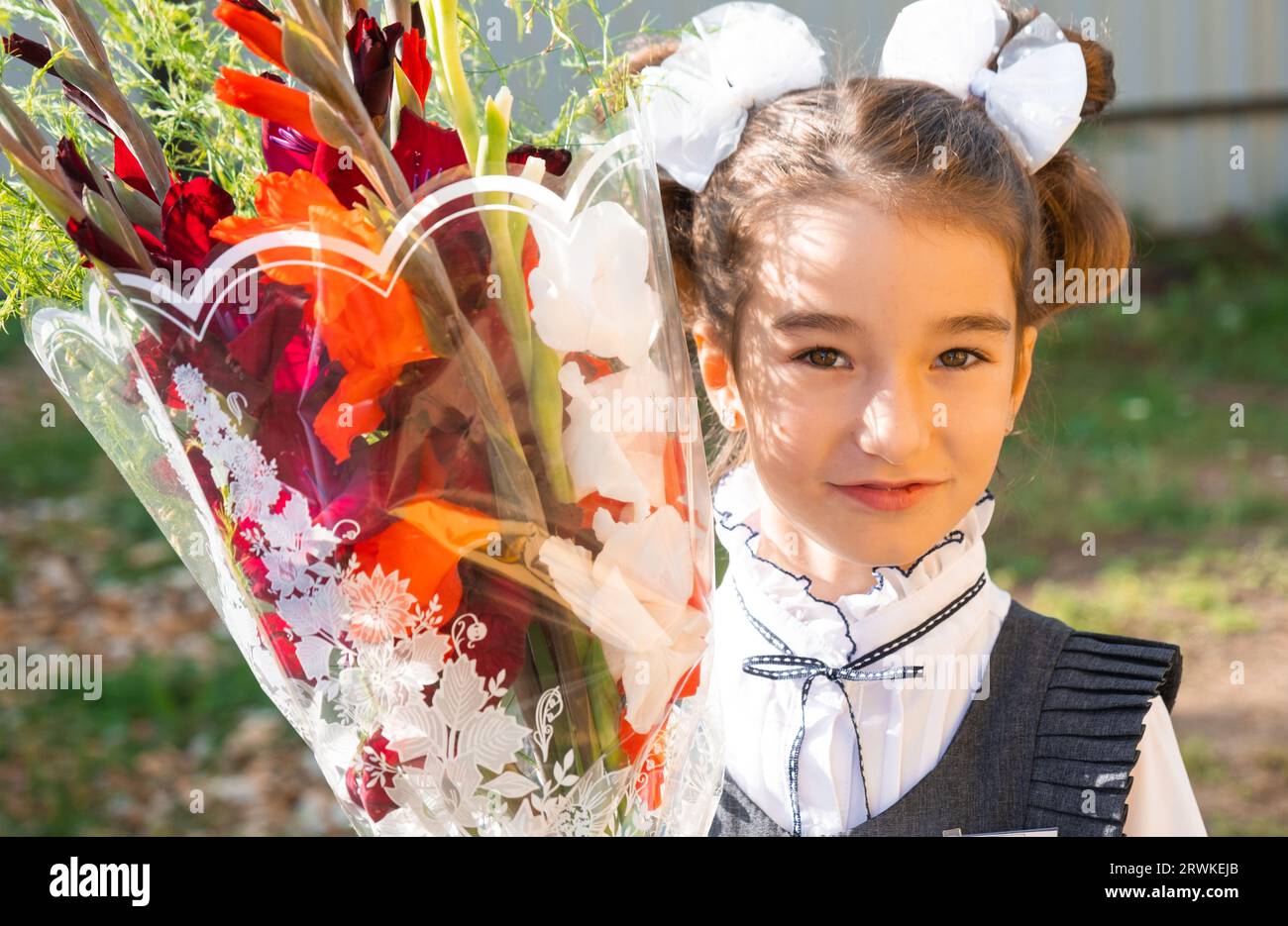 Grade 1 student hi-res stock photography and images - Alamy