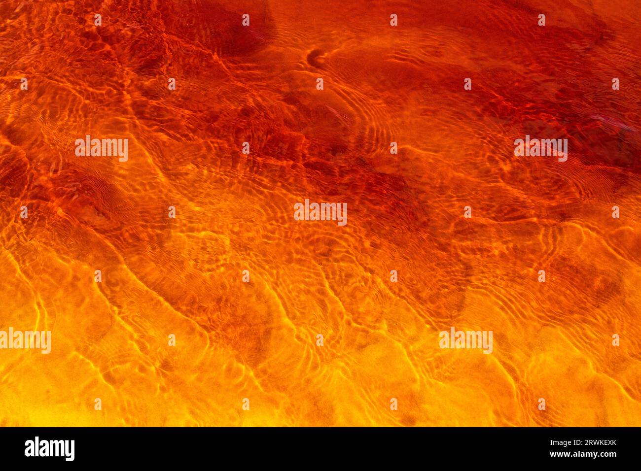 Tannin stained water from a creek running into the ocean at Conspicuous ...