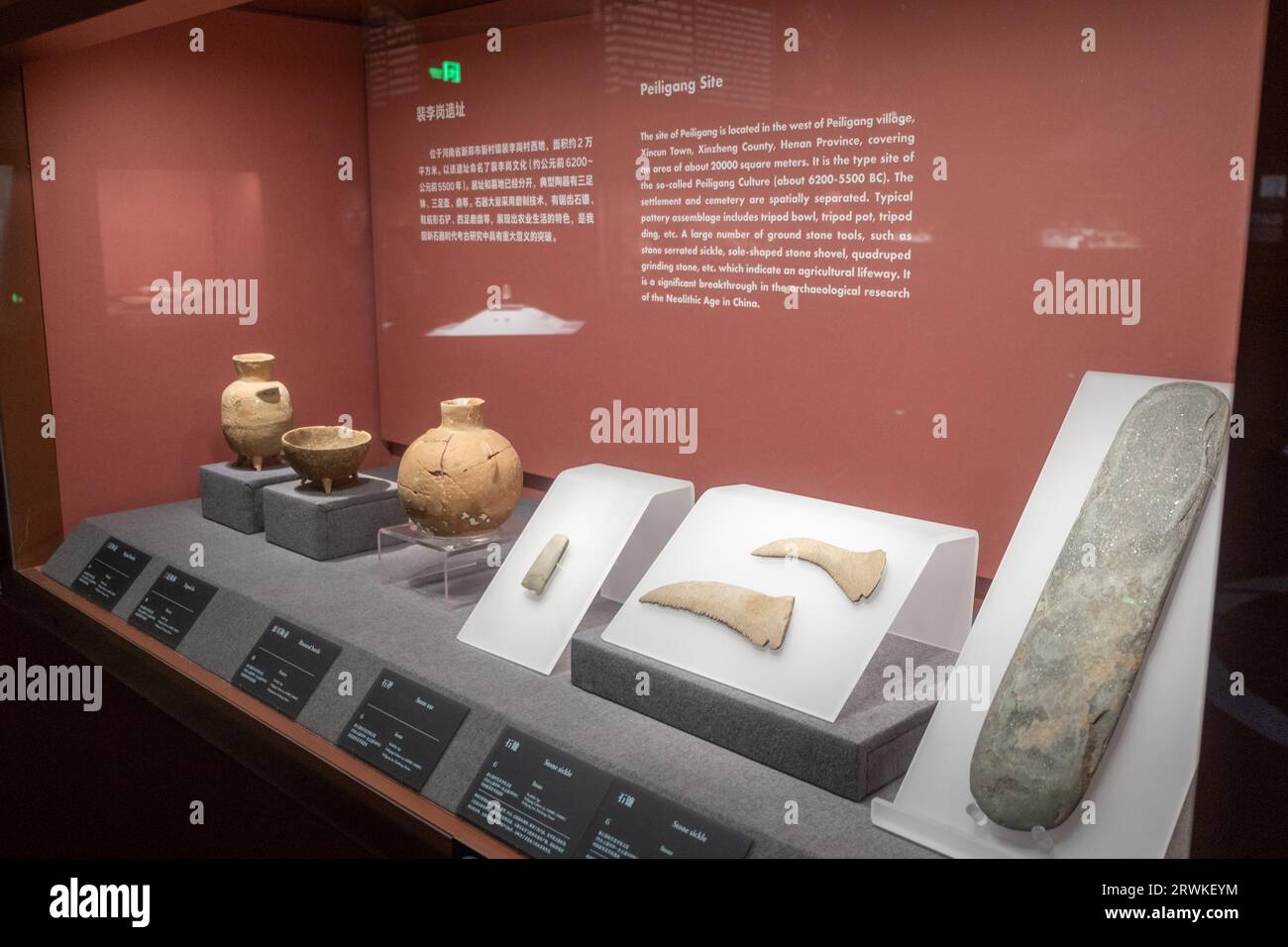 The Chinese Archaeological Museum opens to the general public in ...
