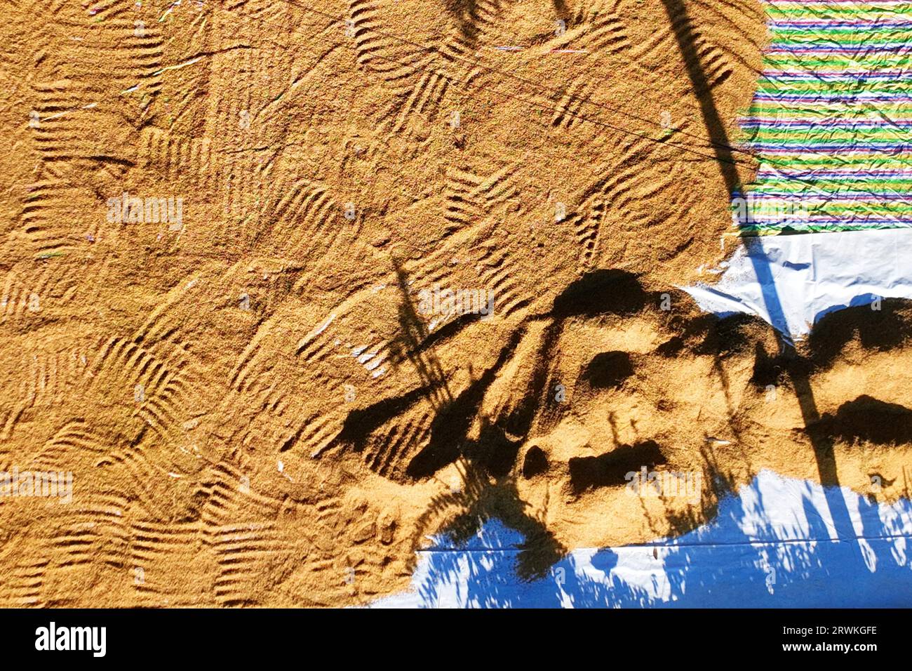 Aerial photo shows the rural tradition of shaiqiu, or drying crops in autumn in Youyang Tujia ...