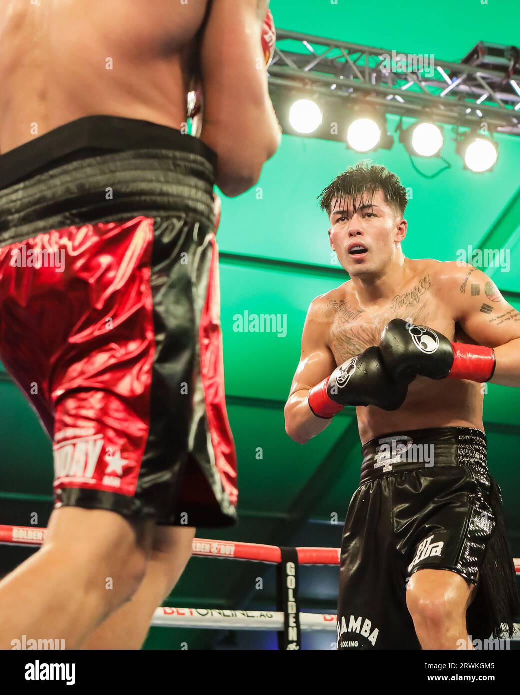 Commerce, CA, USA. 19th Sep, 2023. DAZN and Golden Boy Promotions Boxing hosted the Eric PRIEST ...