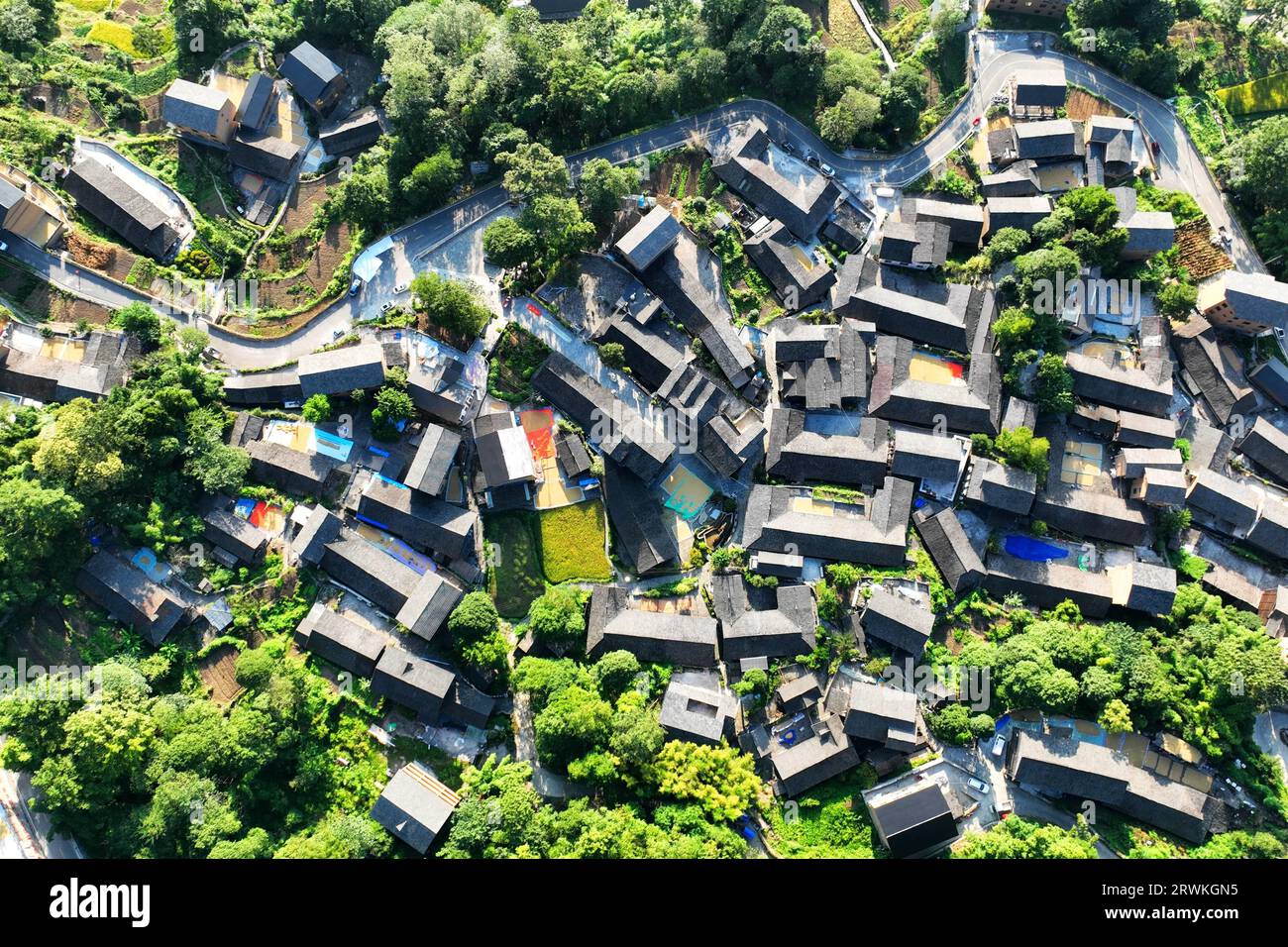 Aerial photo shows the rural tradition of shaiqiu, or drying crops in ...