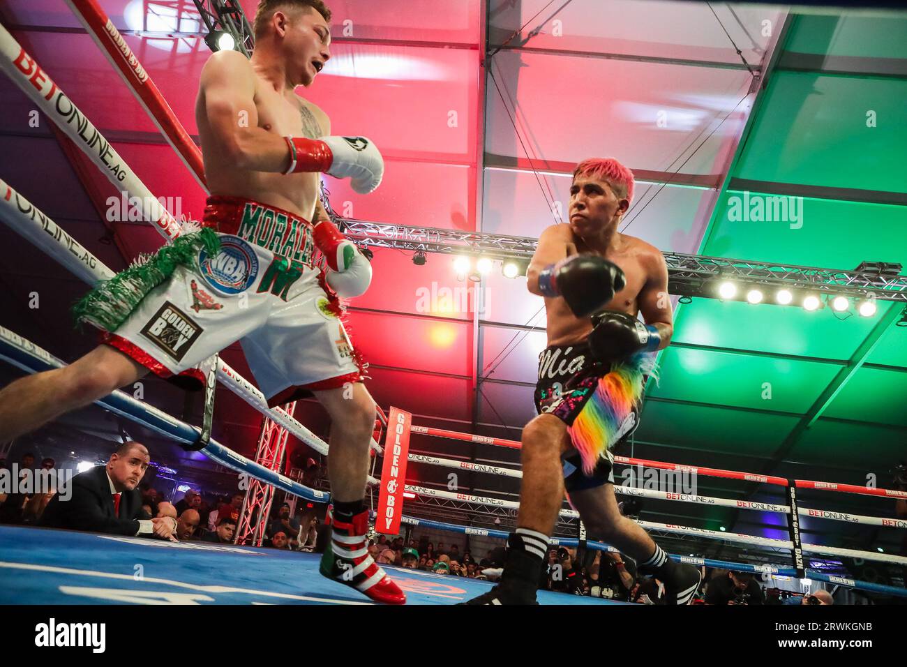 Commerce, CA, USA. 19th Sep, 2023. DAZN and Golden Boy Promotions ...