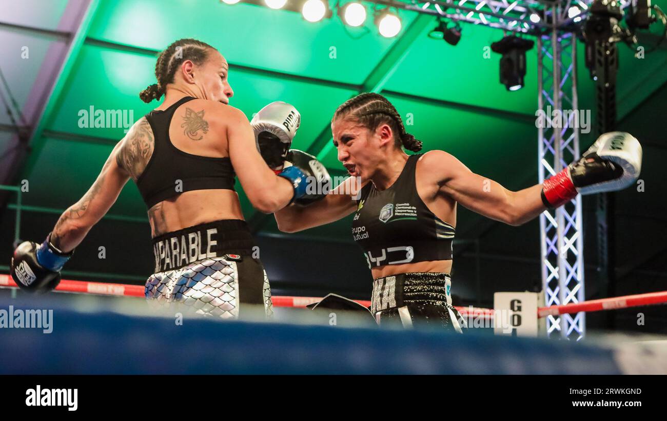 Commerce, CA, USA. 19th Sep, 2023. DAZN and Golden Boy Promotions ...