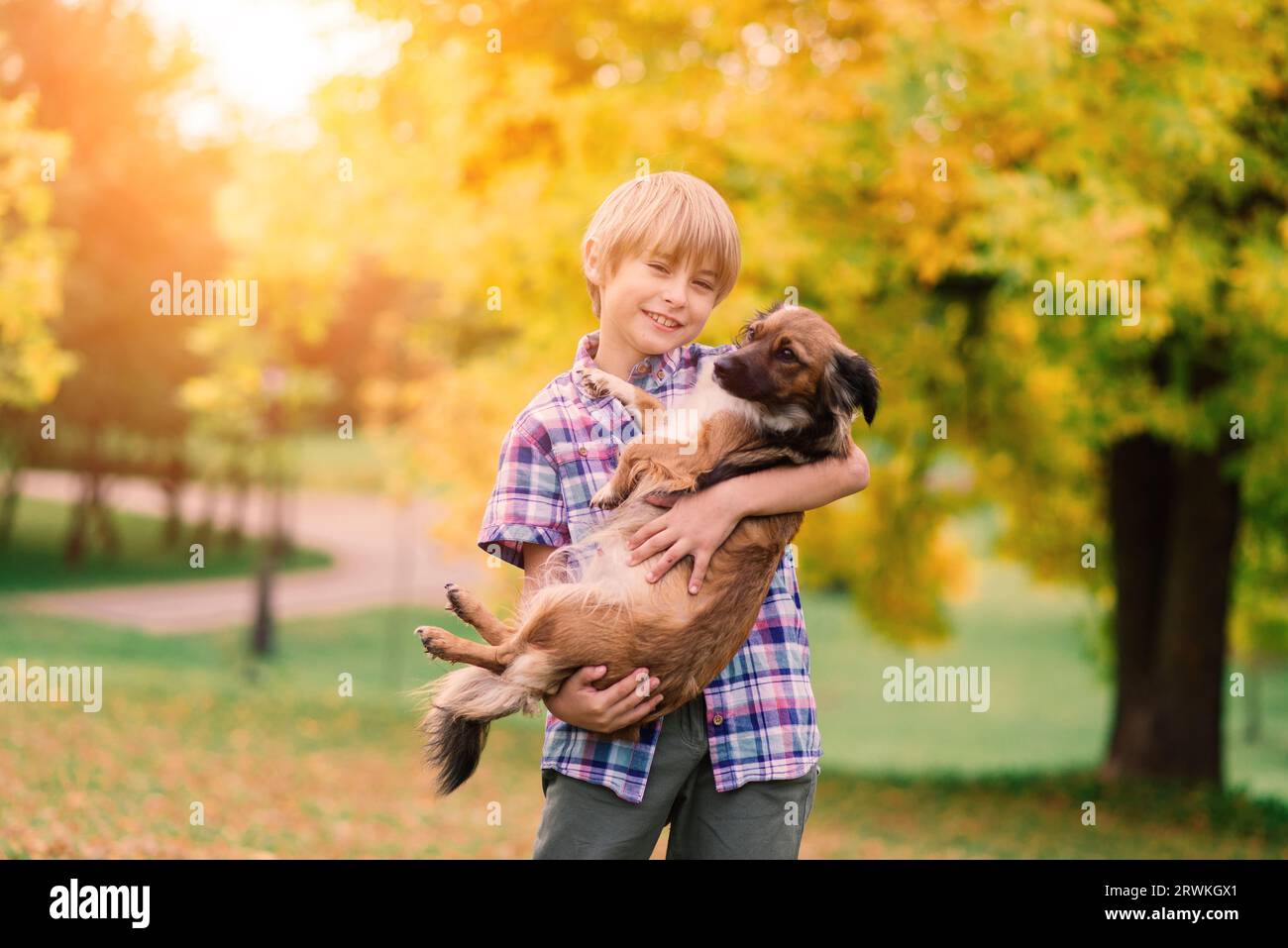 Boy hugging dog and plyaing with in the fall, city park Stock Photo - Alamy