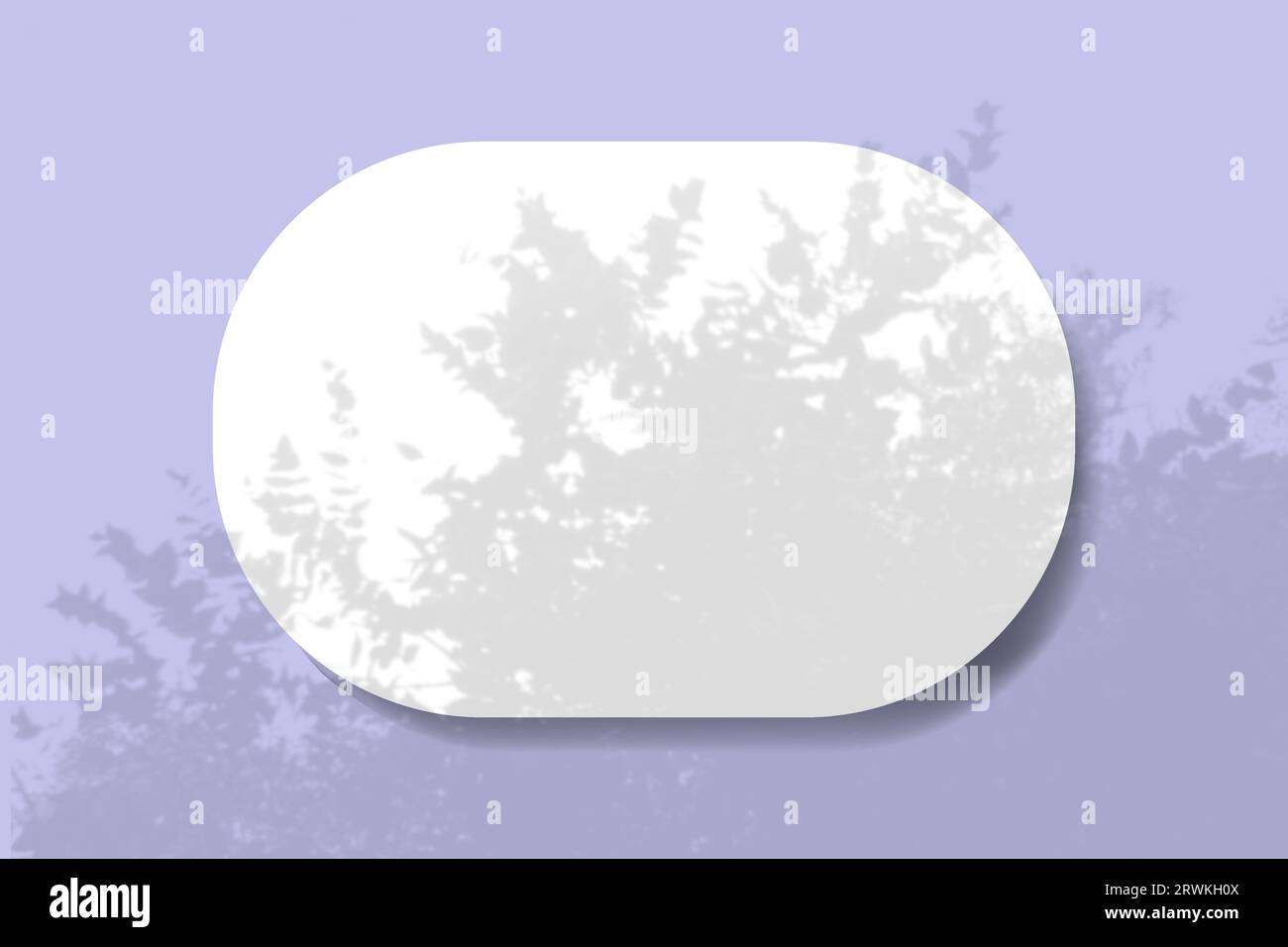 A horizontal oval sheet of white textured paper on the violet wall ...