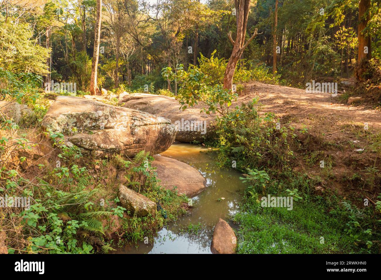 Mbooni forest hi-res stock photography and images - Alamy