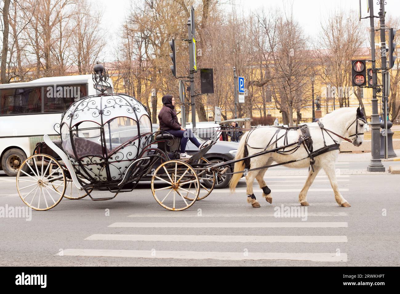 white wedding royal carriage with white horse on road street of ...