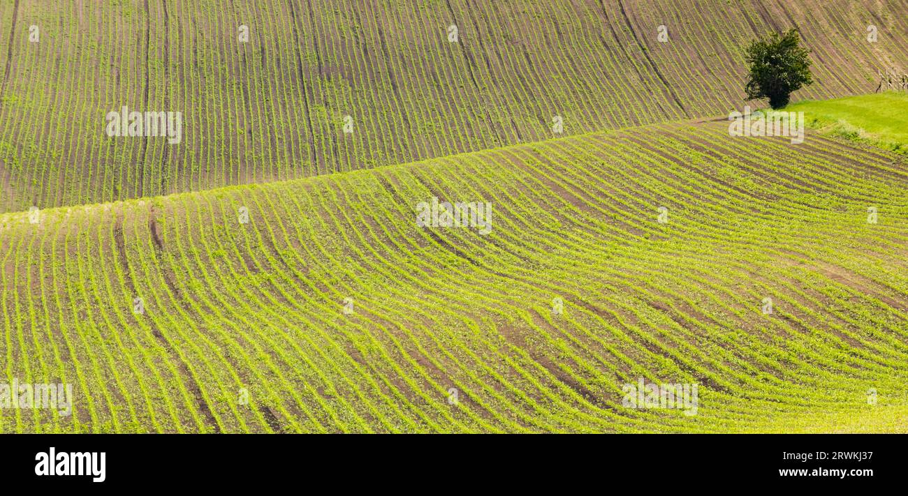 landscape of Moravian Tuscany, Czech Republic Stock Photo - Alamy