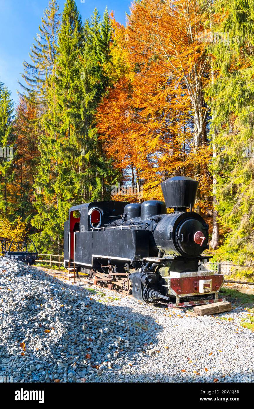 steam locomotive, Museum of Kysuce village, Zilina region, Slovakia ...
