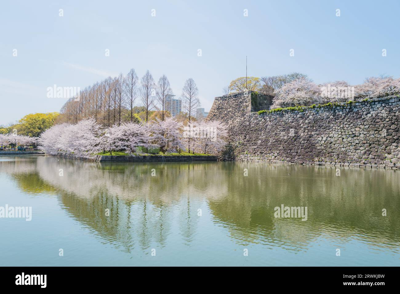 Osaka Castle Park at spring time Stock Photo - Alamy