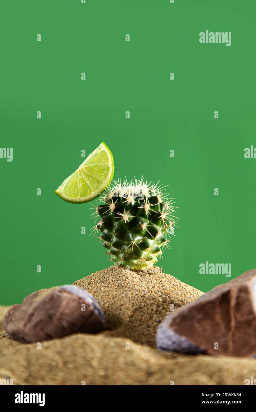 Cactus in the sand with lime slice. Desert simulation. Green background ...