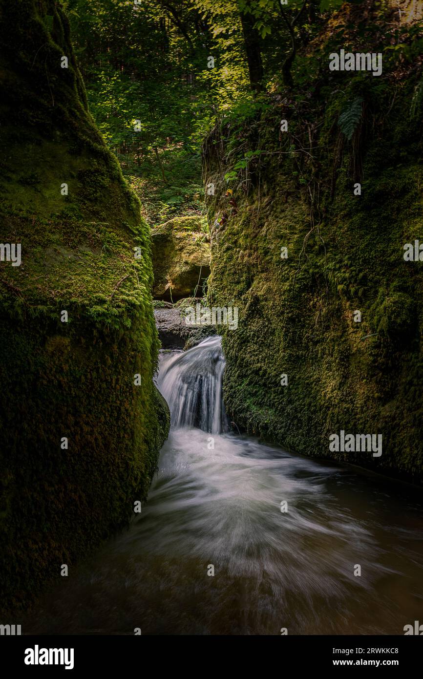 The beautiful nature in the Mullerthal region of Luxembourg, nearby the ...