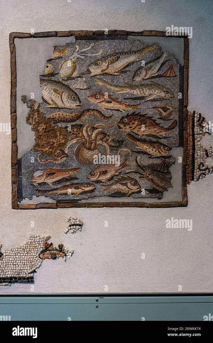 Roman floor mosaic depicting fish at the National Archaeological Museum ...