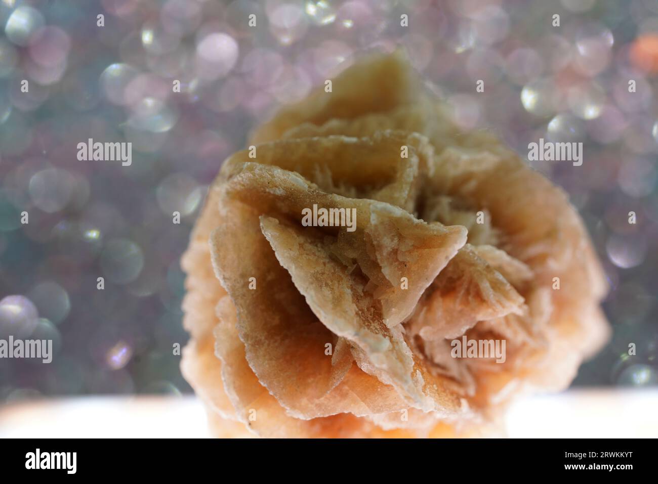 Gypsum rose with a crystal on a cut out background, Crystals resembling ...