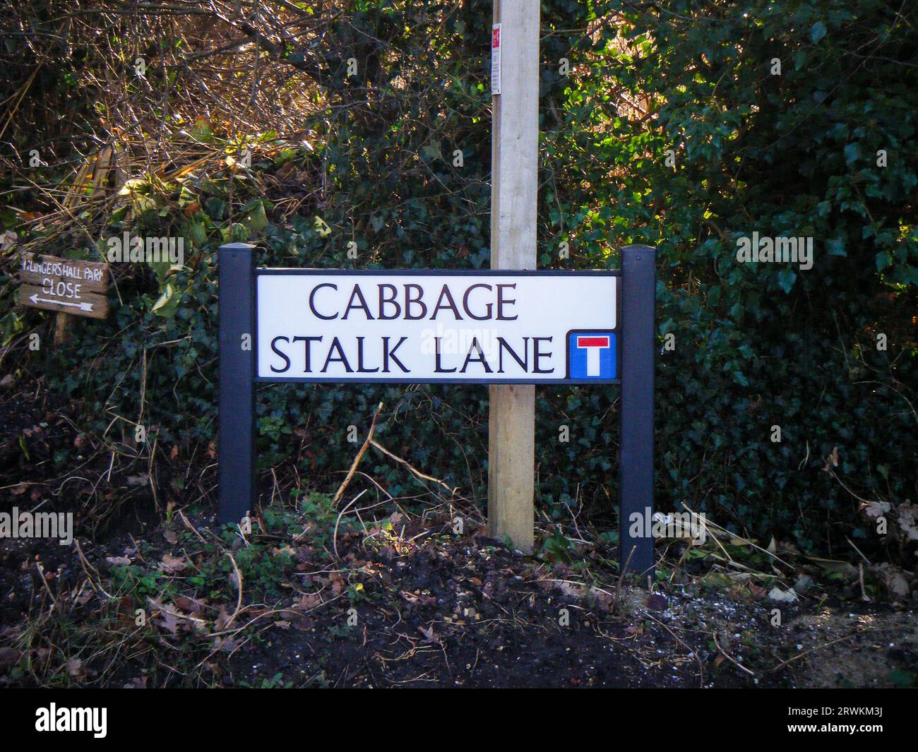 Cabbage stalk lane hi-res stock photography and images - Alamy