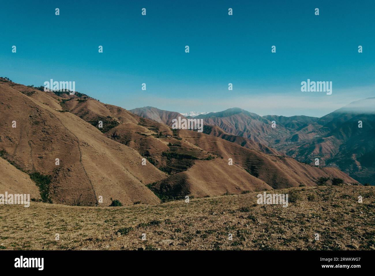 Vast Himalayan grasslands and lush valleys in Uttarakhand, India Stock ...