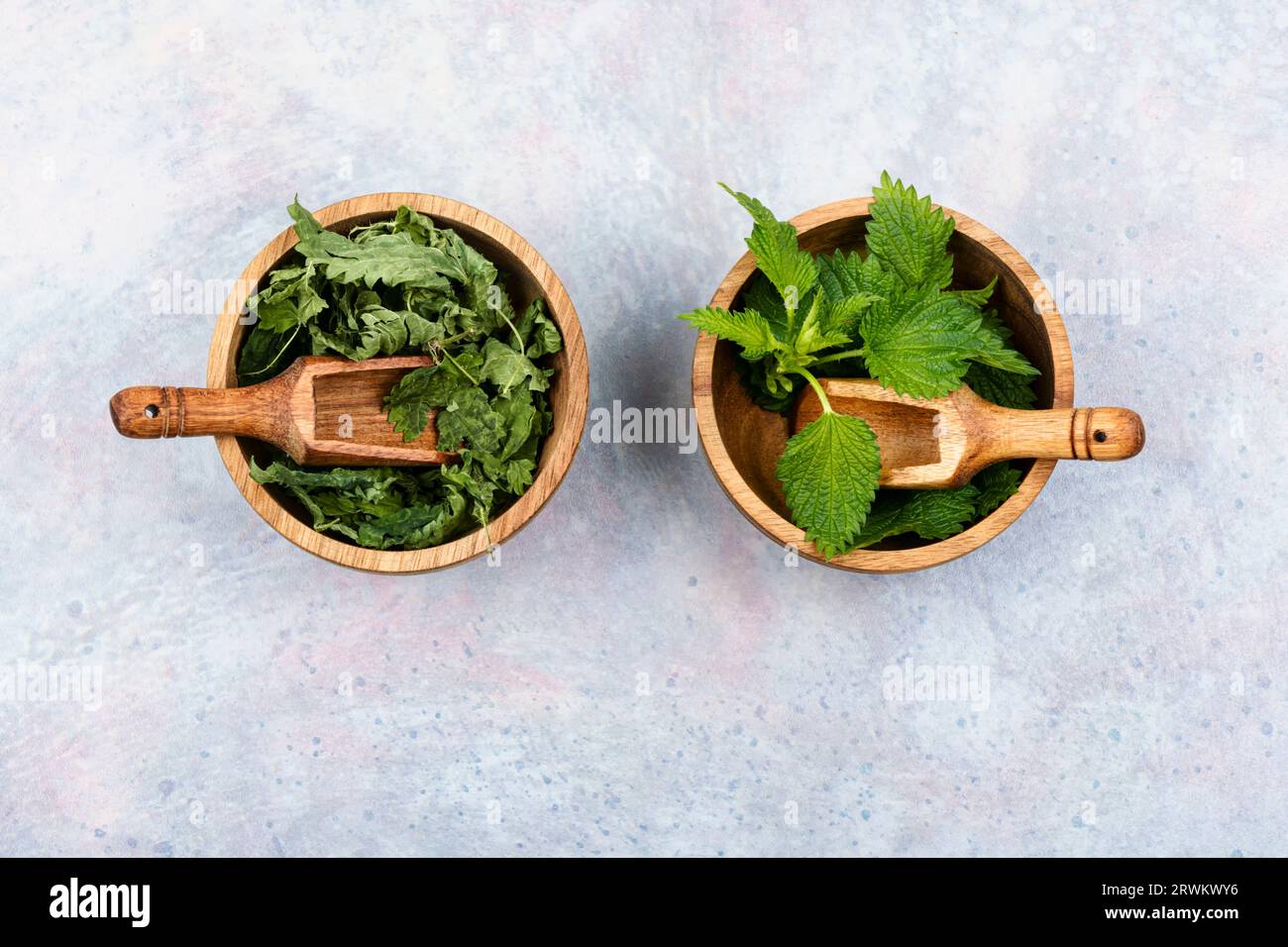 Fresh and dried nettle leaves on the table. Medicinal plant, top view ...