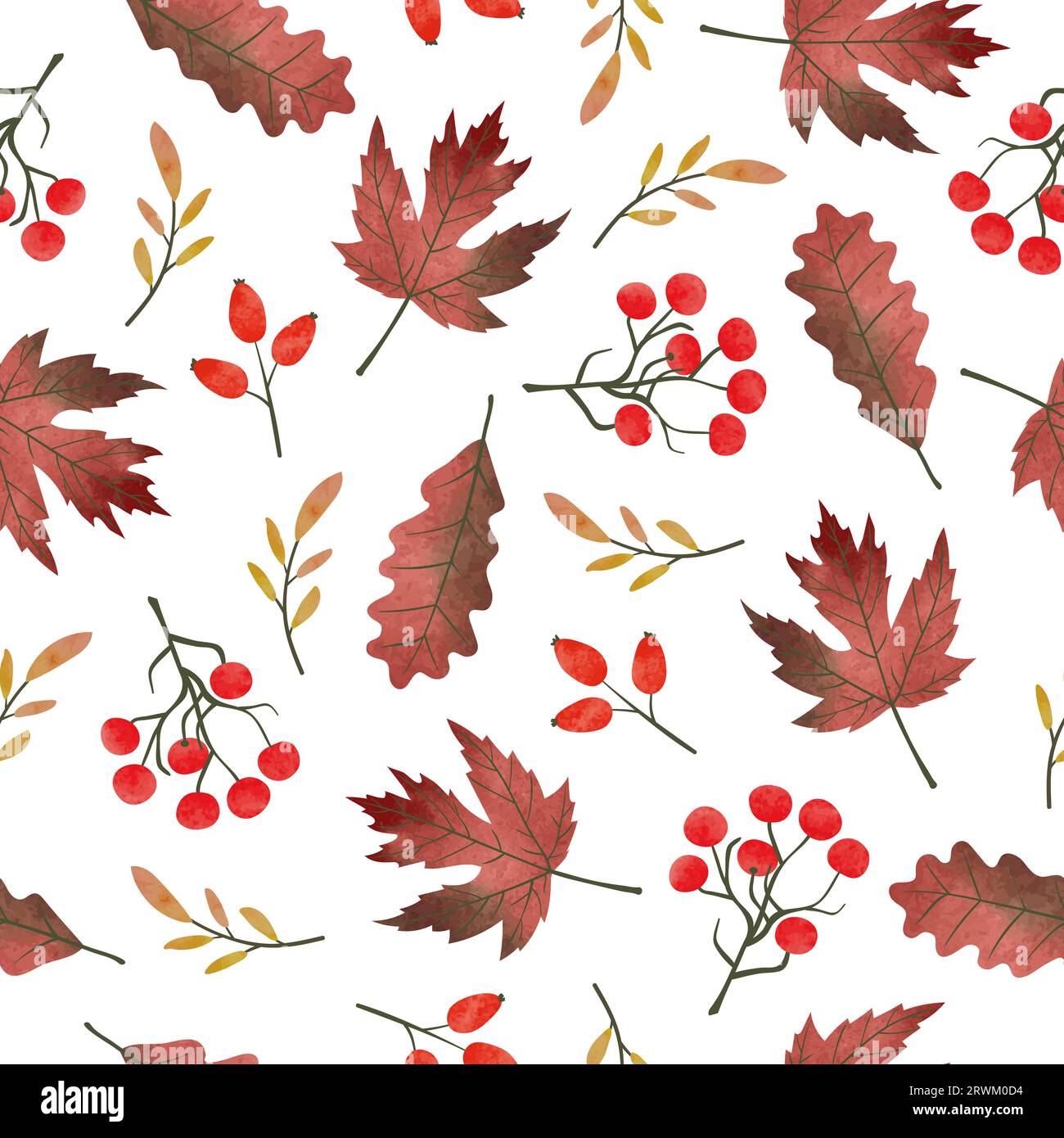 Autumn leaves and berries pattern. Vector watercolor fall season ...