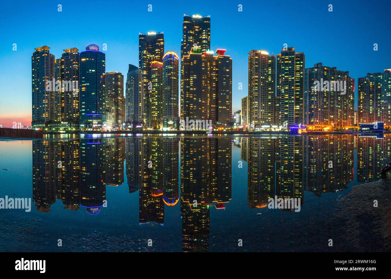 Skyline Of Marine City Wallpaper Building, Home, Night City,