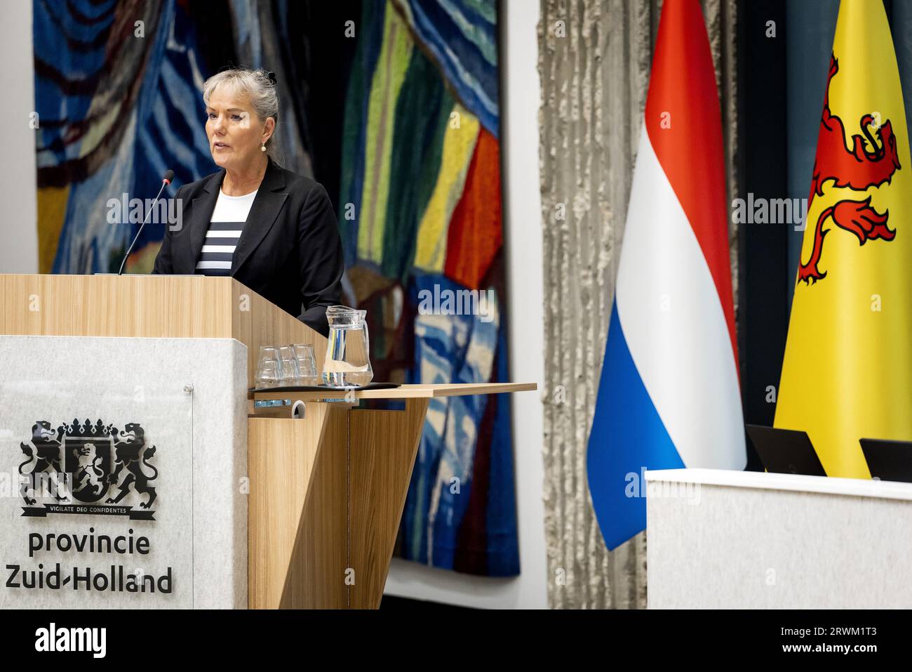 THE HAGUE - Carla van Viegen (PvdD) during the State Meeting of the ...