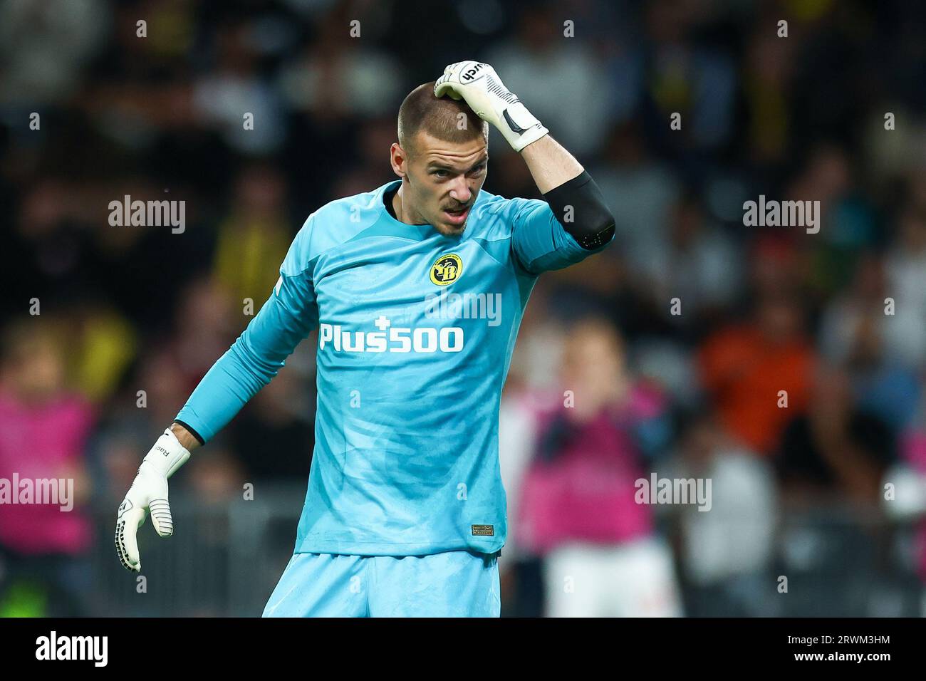 Anthony racioppi hi-res stock photography and images - Alamy