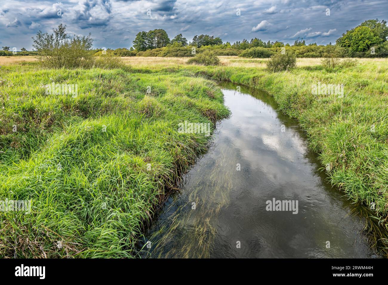 Wetlands near Uldum in Denmark Stock Photo - Alamy