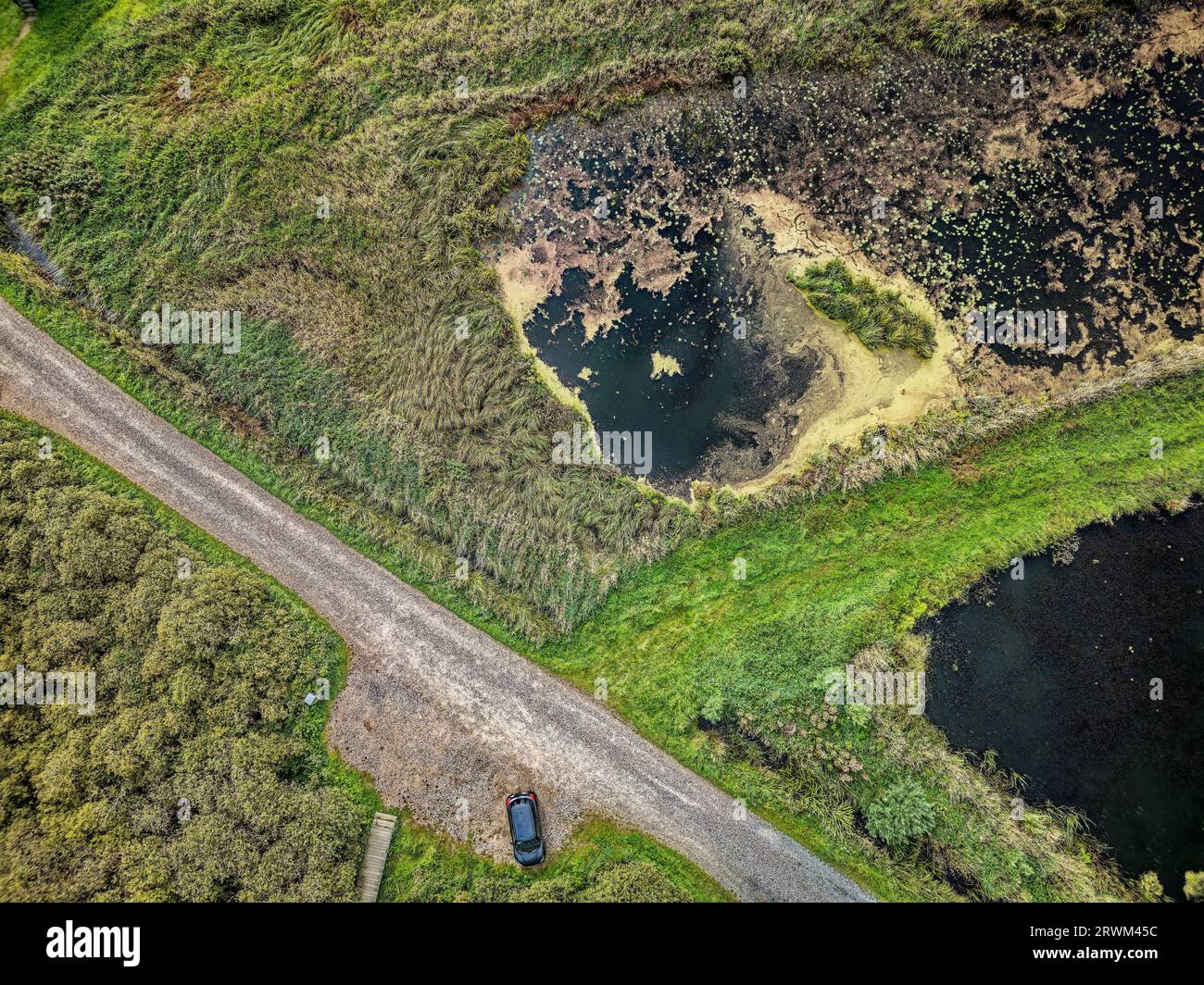 Wetland in denmark hi-res stock photography and images - Alamy