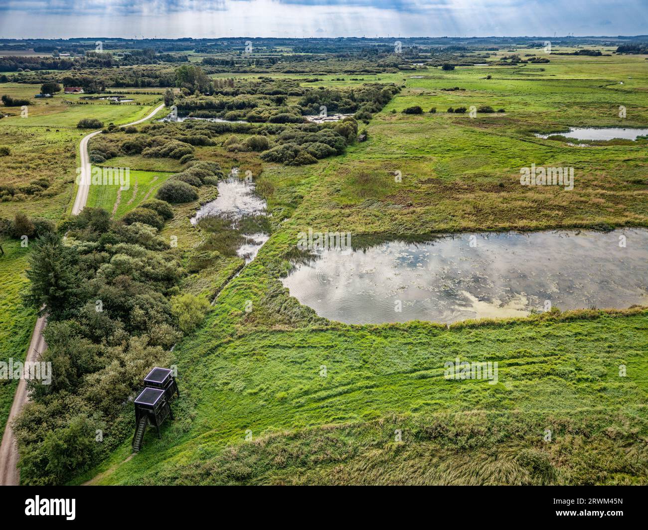 Wetland in denmark hi-res stock photography and images - Alamy